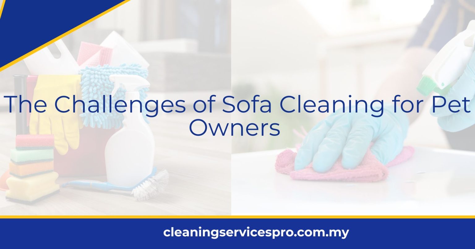 The Challenges of Sofa Cleaning for Pet Owners [2025]